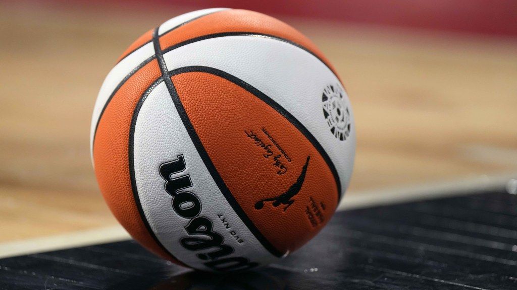 The WNBA pauses expansion plans to Portland | The GIST